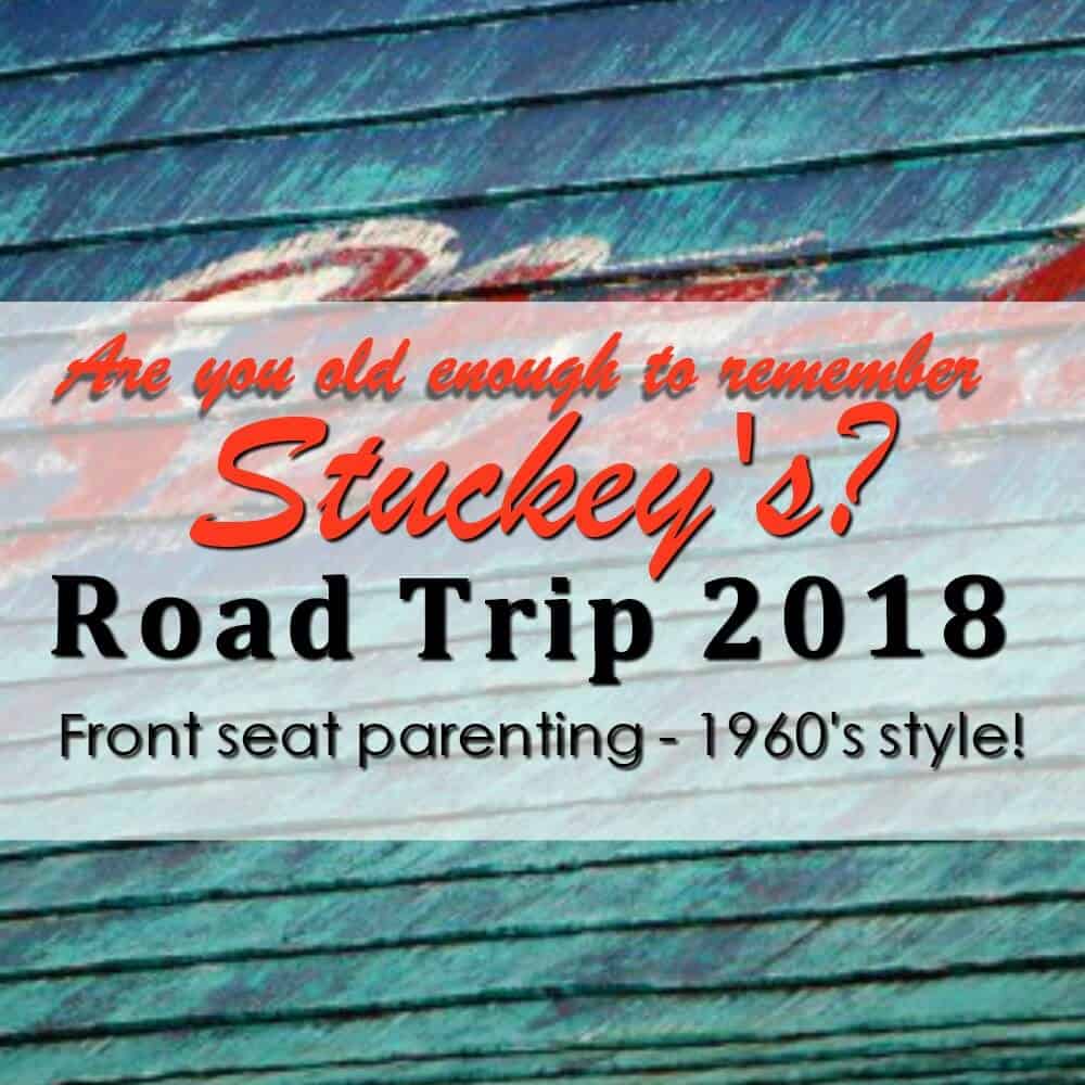 How Stuckey's shaped road trip parenting in the 1960's